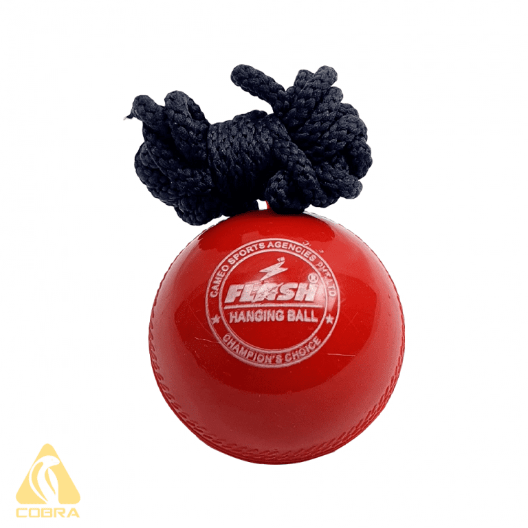 Flash Hanging Cricket Ball | Cobra Sports Sdn Bhd